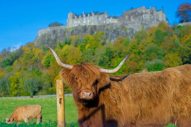 Stirling Castle,Trossachs National and Loch Lomond Day Tour From Edinburgh - Transportation and Accessibility