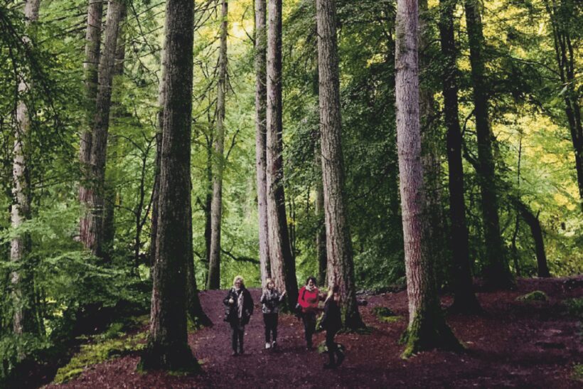 Stirling, Highlands & Destilería desde Edimburgo en español. - A Deep Dive into the Experience