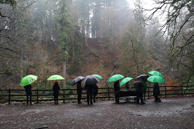 Stirling, Highlands & Distillery - Small Group Experience