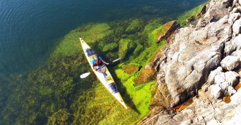 Stockholm: 1, 2, or 3-Day Kayaking Tour in the Archipelago - Authentic Experiences Highlighted in Reviews