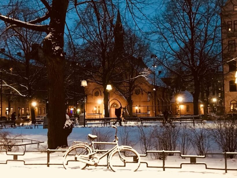 Stockholm: Christmas Markets & Lights Guided Walking Tour - What You Can Expect from the Tour