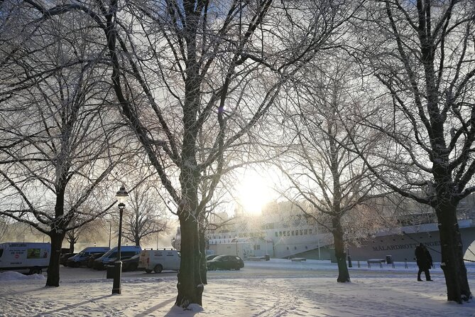 Stockholm Christmas Tour and Food Experience - Accessibility and Participation