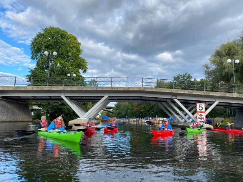 Stockholm Evening Kayak with BBQ. - Who Will Love This Experience?