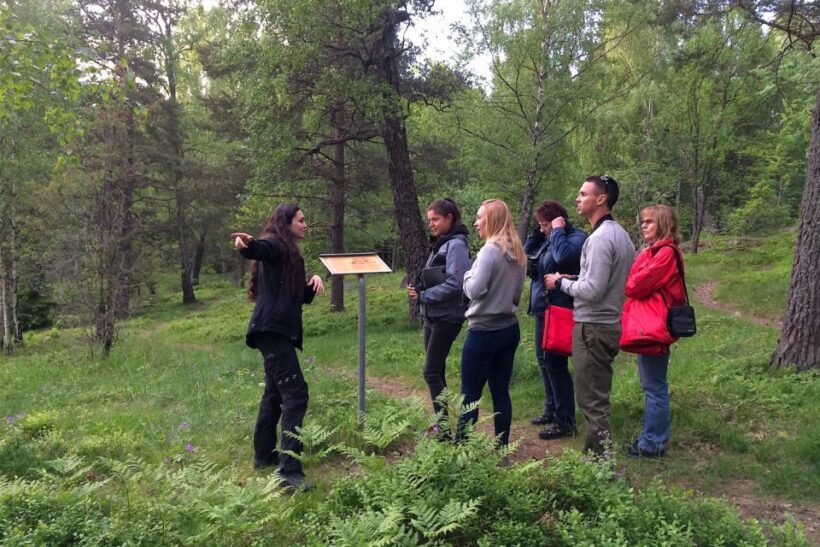 Stockholm: Evening Wildlife Safari with Midsummer Meal - The Value Proposition