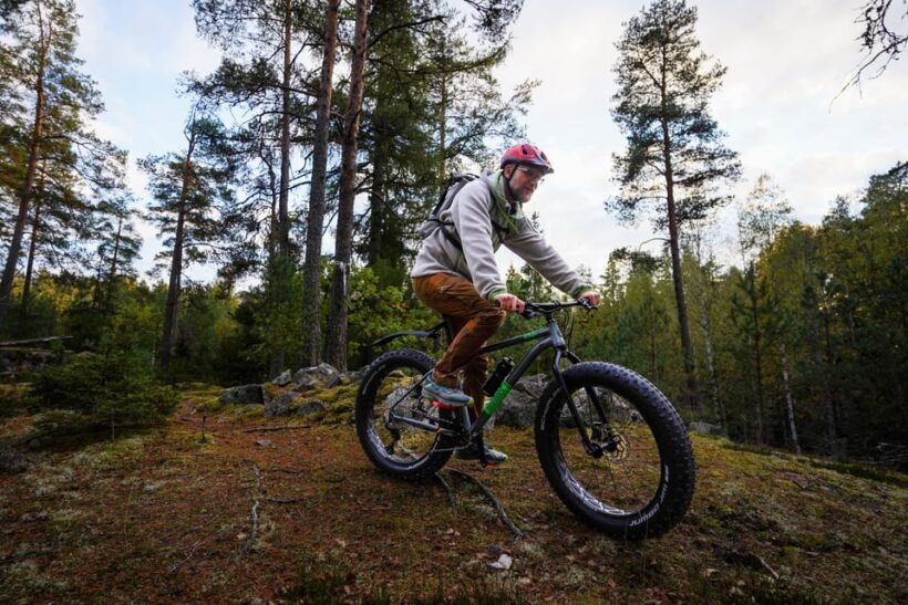 Stockholm: Fat Bike Forest Adventure with Lunch and Sauna - Who Should Consider This Tour?