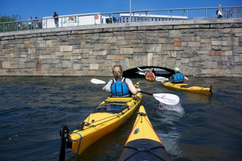Stockholm: Guided Kayak City Tour & Optional Midsummer Meal - The Sum Up