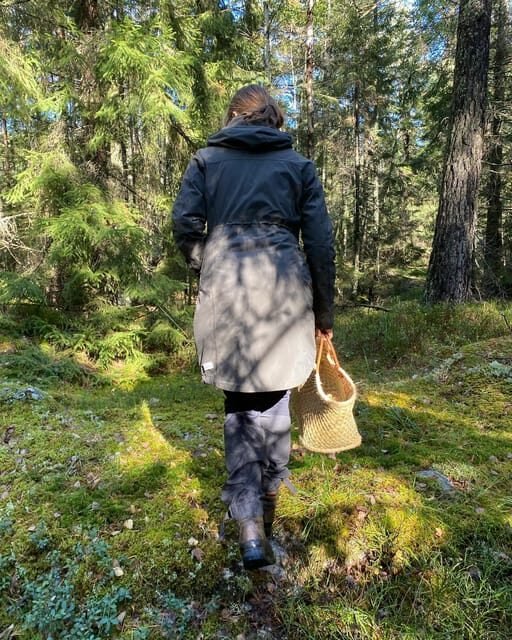 Stockholm, Mushroom and Wild Plant Foraging Tour with expert - Key Points