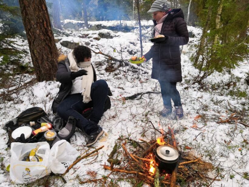 Stockholm: Nature Hike with Campfire Lunch - A Full Breakdown of the Stockholm Nature Hike Experience
