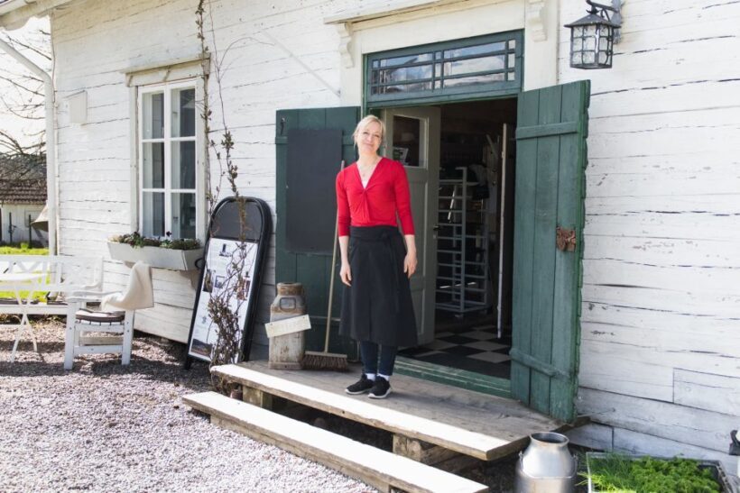 Stockholm: Sigtuna and Uppsala Viking History Day Tour - Who Should Consider This Tour?