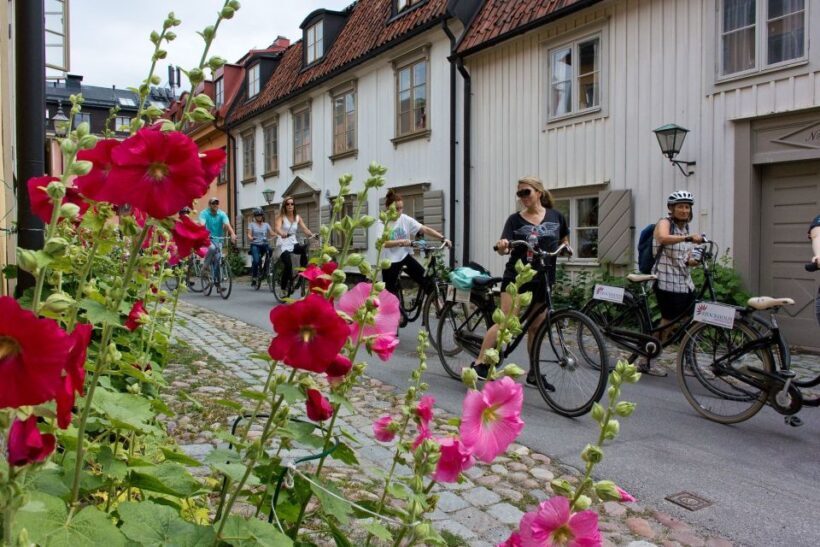 Stockholm: Södermalm E-Bike Tour - Why Choose the Södermalm E-Bike Tour?