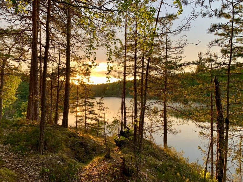 Stockholm: Sunset Hike in Tyresta National Park with Meal - Who Should Consider This Tour?