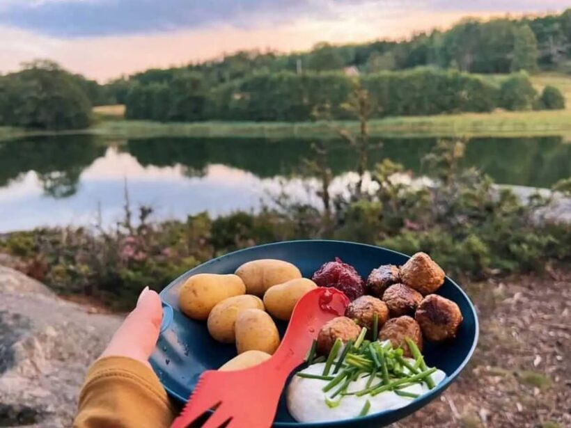 Stockholm: Sunset Hike in Tyresta National Park with Meal - In The Sum Up