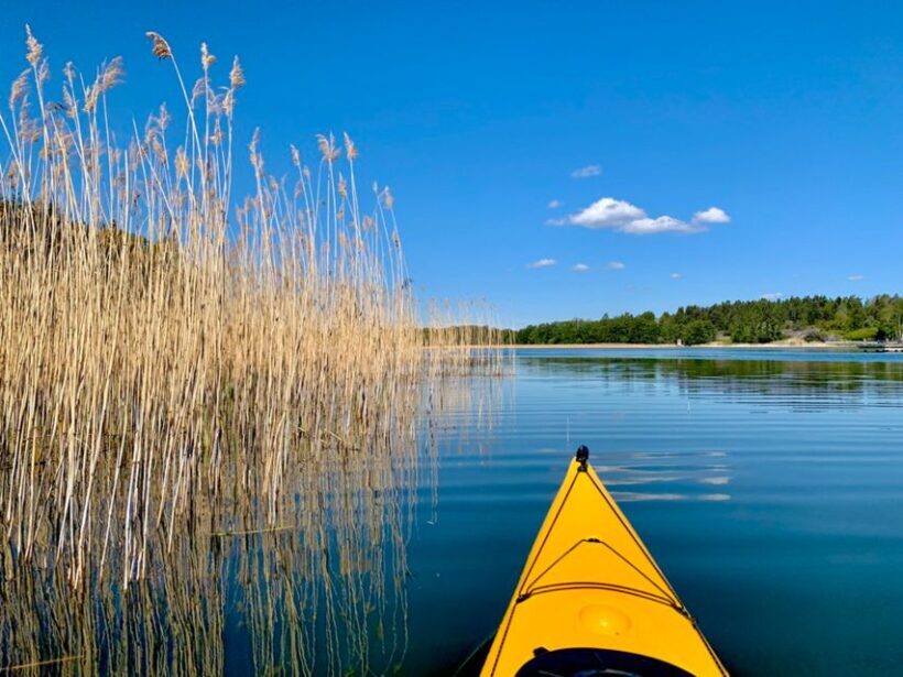 Stockholm: Sunset Kayak Tour in the Archipelago + Fika - A Closer Look at the Experience