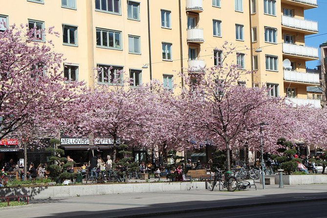 Stockholm Tour with a Local: Explore Hip And Bohemian Sodermalm - Who Is This Tour Best Suited For?