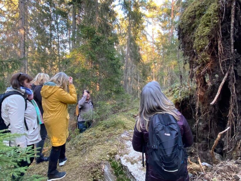 Stockholm: Wildlife Safari - Authentic Encounters: What We Read in the Reviews