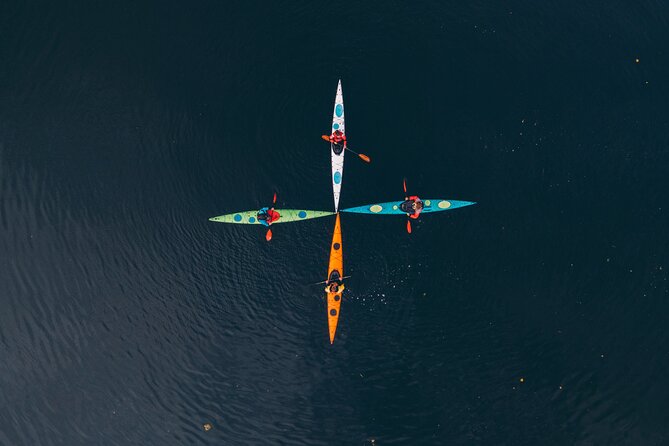 Stockholm: Winter Kayaking, Swedish Fika and Hot Sauna Experience - Guided Tours With Local Stories