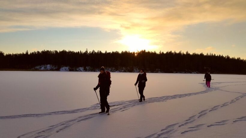 Stockholm: Winter Snowshoe Full-Day Hike - Practical Tips for a Smooth Day