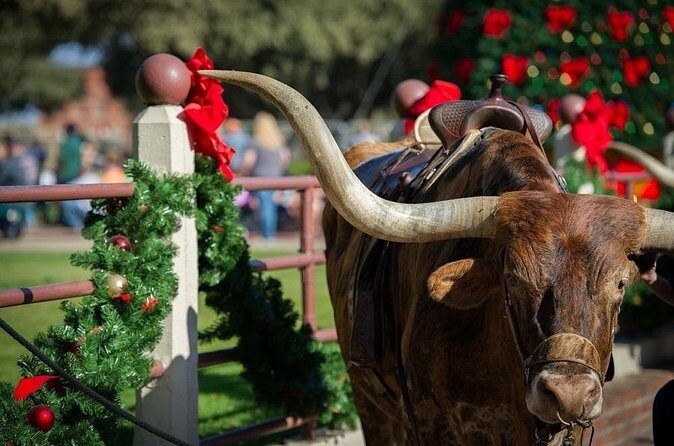 Stockyards Holiday Food & Culture Tour in Forth Worth - What Do Visitors Say?