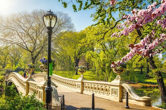 Stolen Archives: Self-Guided Mystery Adventure in Central Park - Who Would Love This Tour?