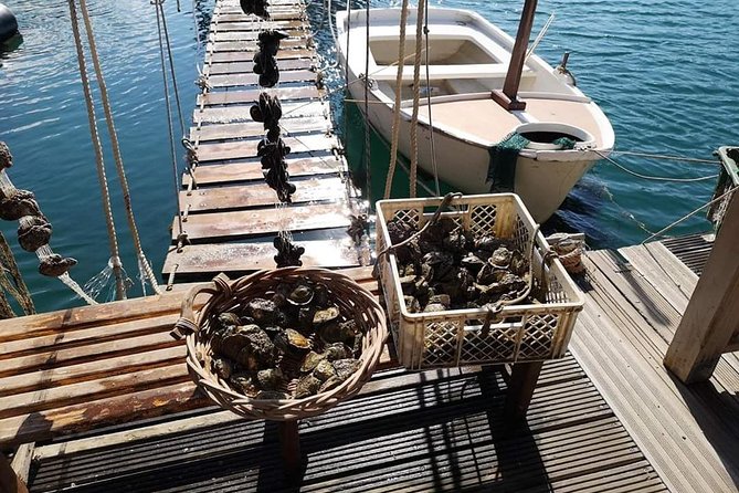 Ston Gastro Tour - The Value of This Experience