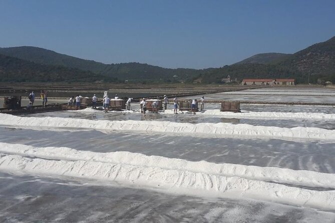 Ston Gastro Tour - Who Will Love This Tour