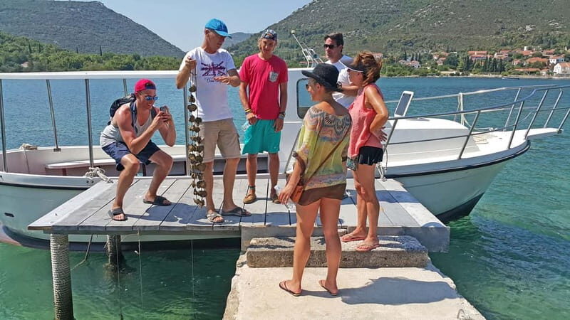 Ston Oyster & Wine Tasting Private Tour From Dubrovnik - Introduction