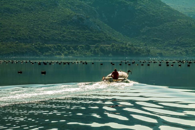 Ston Oyster & Wine Tasting Private Tour From Dubrovnik - Key Points
