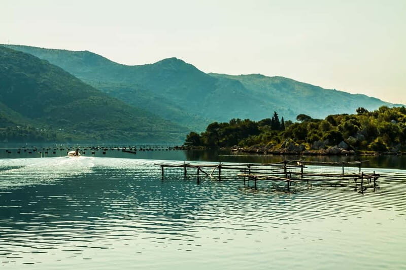 Ston Oyster & Wine Tasting Private Tour From Dubrovnik - Who Will Love This Tour?