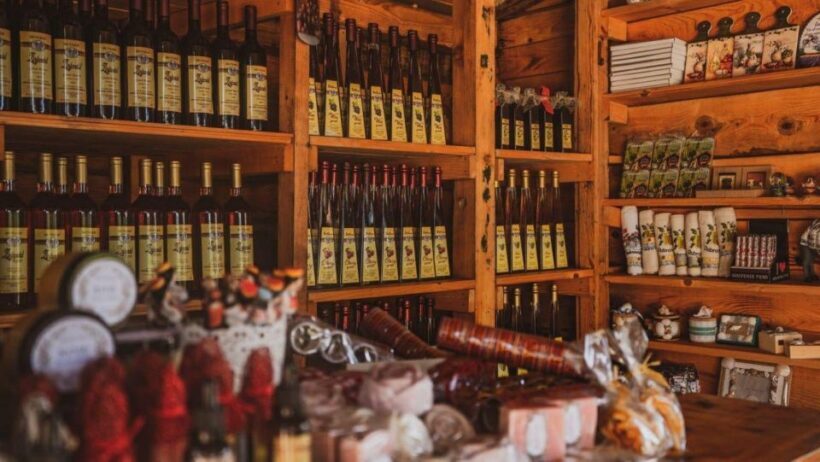 Ston oysters and wine tasting tour from Dubrovnik - An In-Depth Look at the Ston Oysters and Wine Tasting Tour