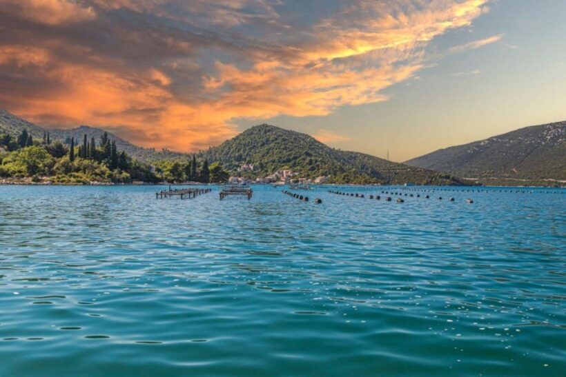 Ston oysters and wine tasting tour from Dubrovnik - Who Would Love This Tour?