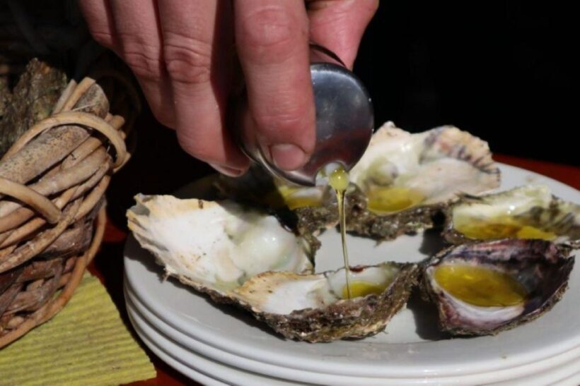 Ston oysters and wine tasting tour from Dubrovnik - Final Thoughts