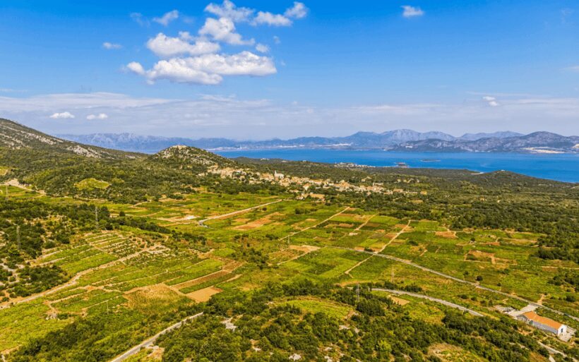 Ston, Peljesac and Korcula Winetasting Tour - Authentic Experiences and Traveler Feedback