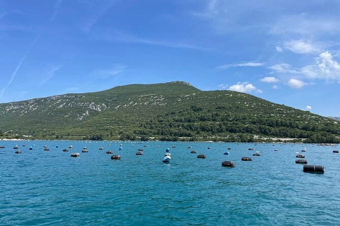 Ston Seafood & PelješA Wine Boat Tour With Oysters and Mussels - Culinary Delights: Oysters and Mussels