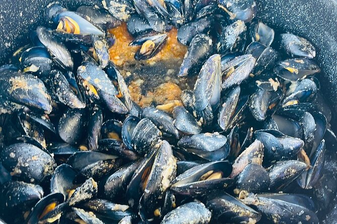 Ston Seafood & PelješA Wine Boat Tour With Oysters and Mussels - Scenic Highlights of the Croatian Coast