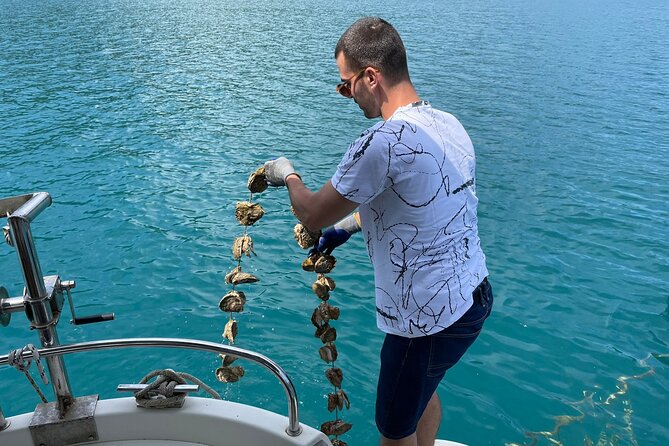 Ston Seafood & PelješA Wine Boat Tour With Oysters and Mussels - Customer Feedback and Recommendations