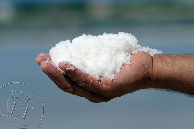 Ston & Trsteno Arboretum - Private Excursion from Dubrovnik w/ Mercedes Vehicle - Who Should Consider This Tour?