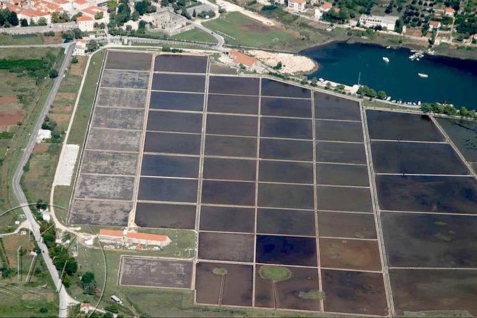 Ston & Trsteno Arboretum - Private Excursion from Dubrovnik w/ Mercedes Vehicle - The Sum Up