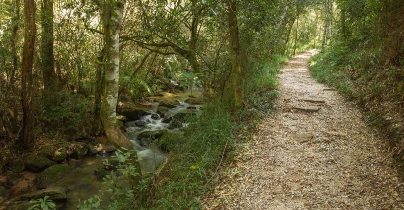 Stone and Nature: Vila Velha and Buraco do Padre, Paraná - Practicalities: What to Expect and How to Prepare