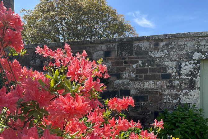Stone & Story: Rosslyn Chapel & Melrose Abbey Private Day Trip - Curated Itinerary Highlights
