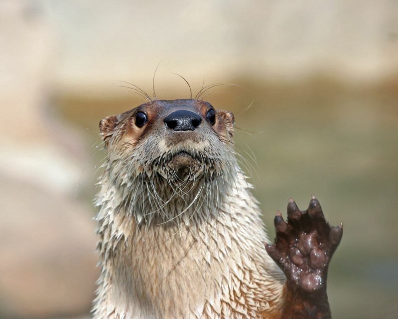 Stoneham, Massachusetts: Stone Zoo Entry Ticket - Key Points