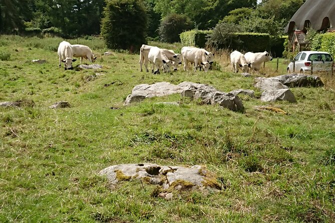 Stonehenge, and Avebury in One Day - Key Points