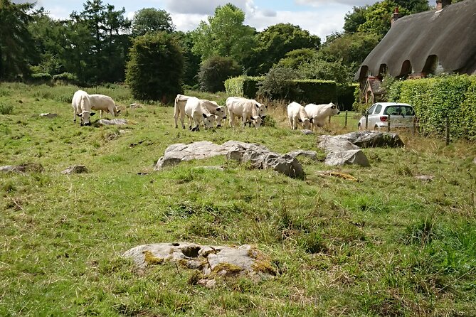 Stonehenge, Avebury, and West Kennet Long Barrow From Salisbury - Inclusions and Logistics