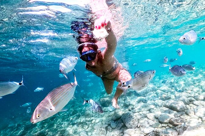 Stop on Island & National Park Day Cruise with Lunch Drinks - FAQ