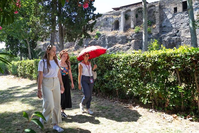 Stories of Pompeii: Small Group Tour With Archeology Expert Guide - Accessibility Considerations