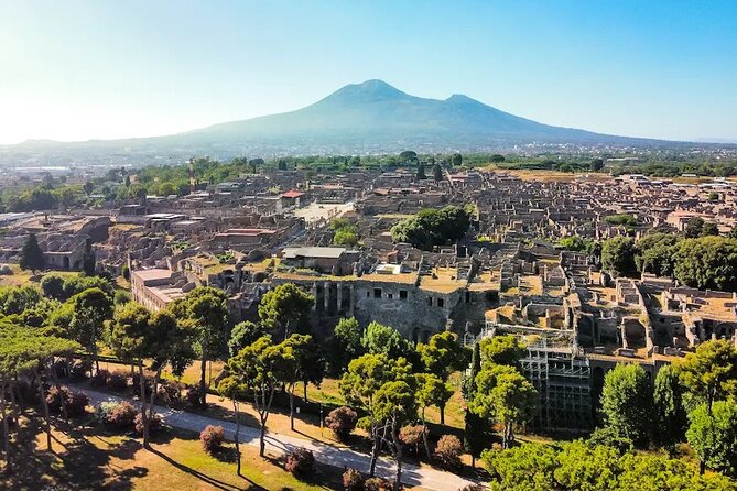 Stories of Pompeii: Small Group Tour With Archeology Expert Guide - Customer Experiences and Feedback