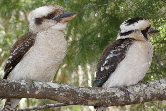 Stradbroke Island 4WD Day Trip from Brisbane - An Authentic Day Out in Nature and Comfort
