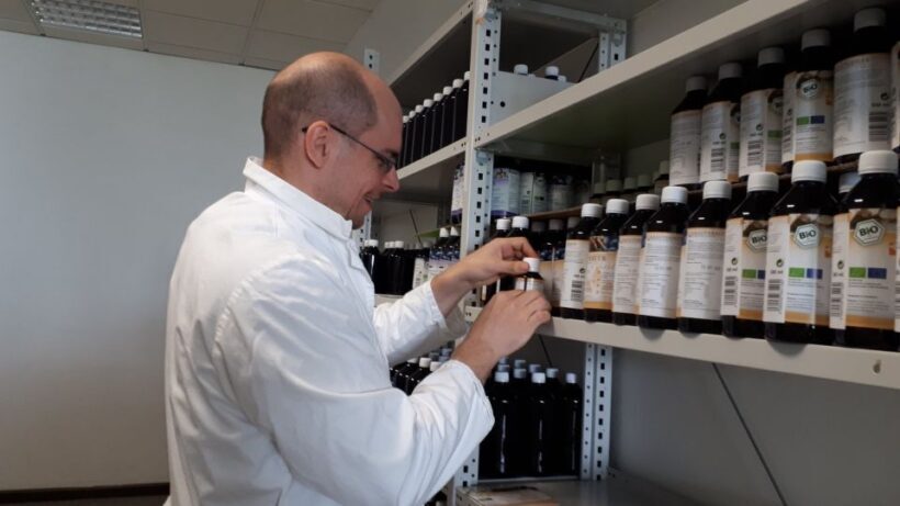 Stralsund: Factory Tour with Fermented and Organic Tastings - Key Points