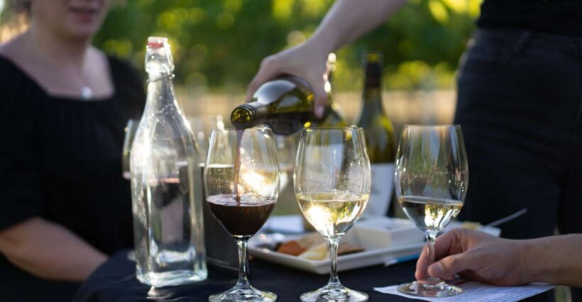 Strange Bird Flight of 3 Wine & Cheese - Who Will Enjoy This Experience?