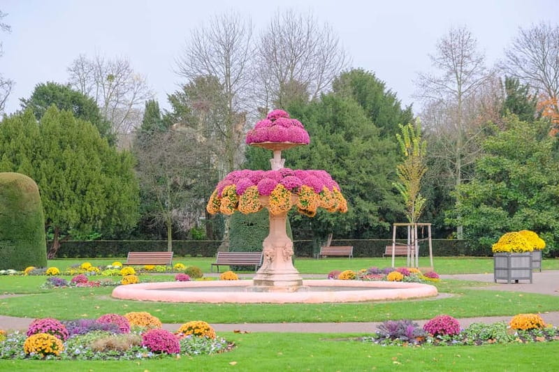 Strasbourg: 1.5-Hour Guided Segway Tour - The Itinerary: What Can You Expect?