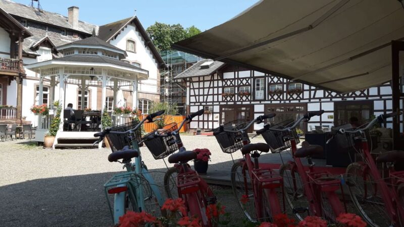 Strasbourg: 1-Day Bike Rental - Key Points